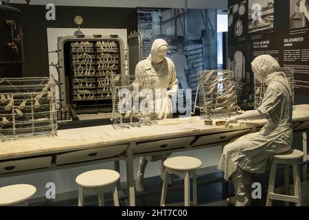 The museum of Portimao located in the main sardine canning factories in ...