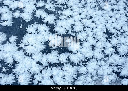 Beautiful effect - snow stars on ice. A pattern that forms only in ...