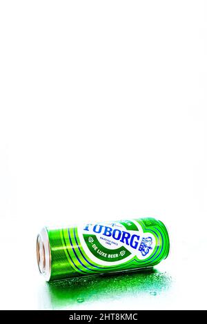 A closeup shot of a can of Tuborg beer on a beach in Brondby Strand ...