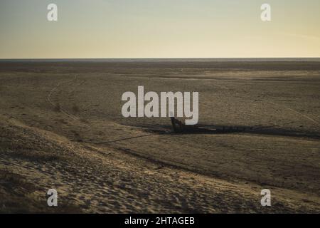 Beautiful view of fields of sand with a broken aged wooden timber and ...