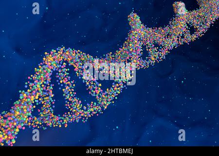 ACGT nucleotides in the human genome (DNA molecule - double helix ...