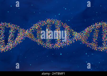 ACGT nucleotides in the human genome (DNA molecule - double helix ...