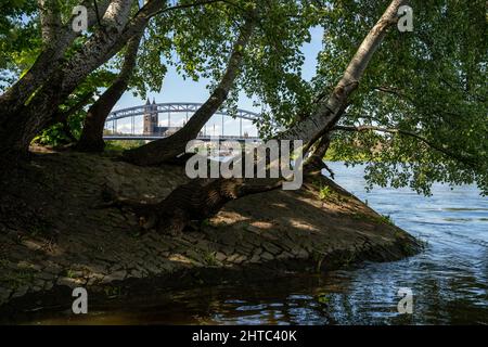 Beautiful view of a park Klosterbergegarten, Magdeburg, Germany Stock ...