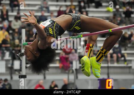 Amina Smith places sixth in the women's high jump at 6-0 3/4 (1.85m ...