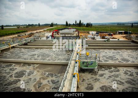 Secondary sedimentation pools the sludge is removed to the sludge ...