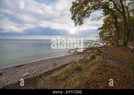 Photo of the Baltic coast of Broager in Denmark Stock Photo - Alamy