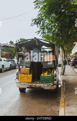 Mexican person worker, with a truck full of fruit Stock Photo - Alamy