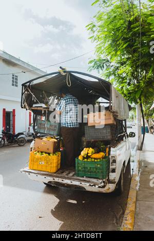 Mexican person worker, with a truck full of fruit Stock Photo - Alamy