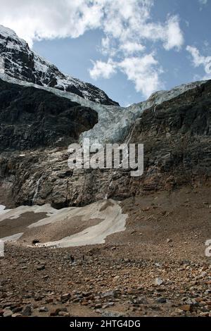 Flora and Fauna in the forest of Canada Stock Photo - Alamy