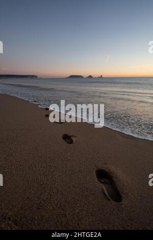 Vertical shot of a track near the seashore in the Netherlands Stock ...