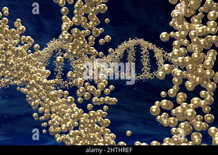 ACGT nucleotides in the human genome (DNA molecule - double helix ...
