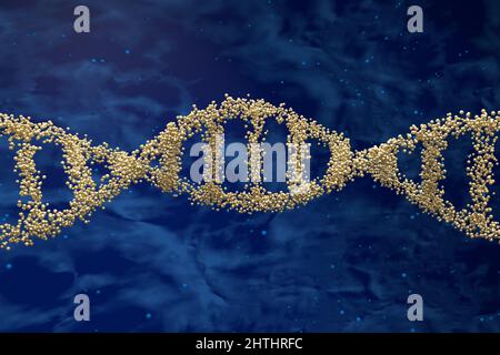 ACGT nucleotides in the human genome (DNA molecule - double helix ...