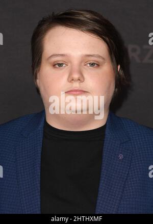HOLLYWOOD, CA - FEBRUARY 28: Dylan Gage at the premiere of STARZ ...