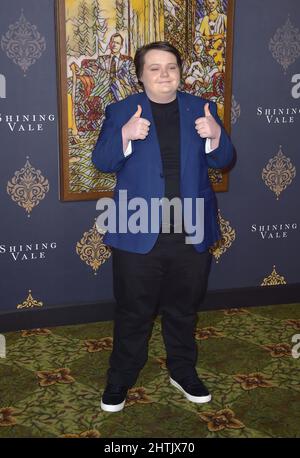 HOLLYWOOD, CA - FEBRUARY 28: Dylan Gage at the premiere of STARZ ...