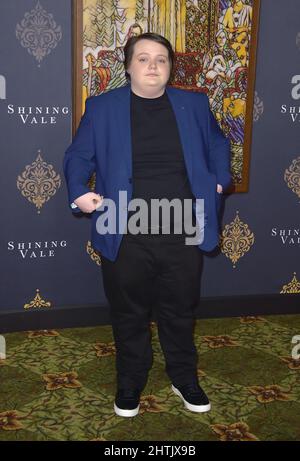 HOLLYWOOD, CA - FEBRUARY 28: Dylan Gage at the premiere of STARZ ...