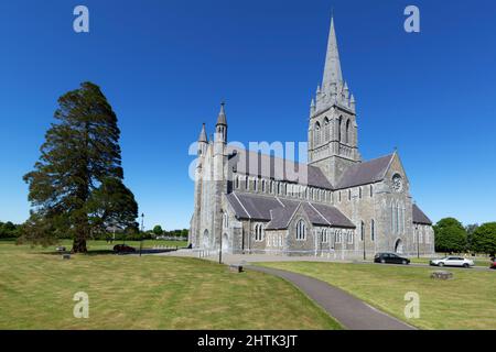 St. Mary's Cathedral and Redwood tree at night, Killarney, County Kerry ...