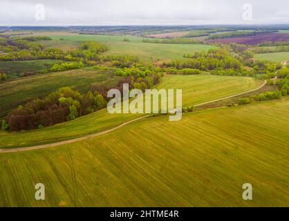 Fields and grasslands of Central Russia Stock Photo - Alamy