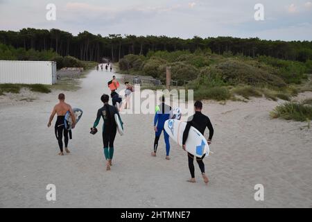 Group of surfers in France walking towards pine woods from a sand beach ...