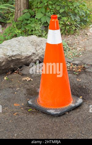 Asphalt footpath in public garden Stock Photo - Alamy