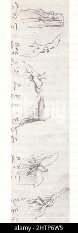 LEONARDO DA VINCI. BIRDS IN FLIGHT FROM THE TURIN CODEX.1505 Stock ...
