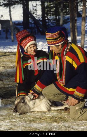 finland lapland raindeer greeder Stock Photo - Alamy