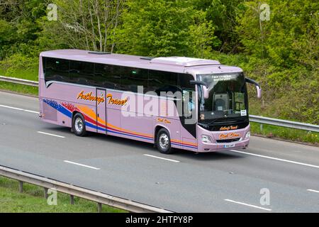 Pink school buses Stock Photo - Alamy