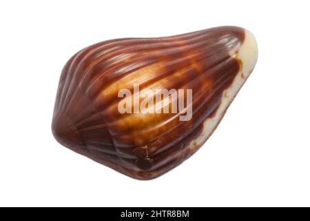 Guylian Belgian chocolates seashells chocolate seashell with box set on ...