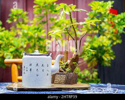 Closeup shot of a traditional Chinese tea ceremony arrangement Stock ...