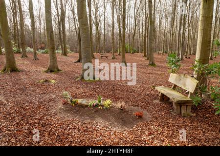 Binning Memorial Wood a natural burial site in East Lothian, Scotland ...