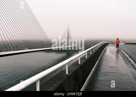France, Finistere, Brest, man running on the Albert Loupe bridge next ...