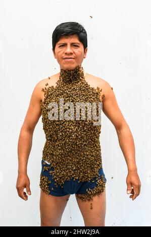 Man covered by many bees Stock Photo - Alamy