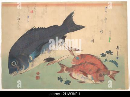 Kurodai and Kodai Fish Stock Photo - Alamy