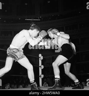 Boxing at The Royal Albert Hall. Liverpool's Pat Dwyer and Mark Rowe of ...