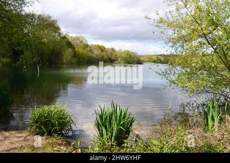 Spade Oak Nature Reserve, Bourne End, Buckinghamshire, England, UK ...