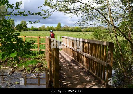Spade Oak Nature Reserve, Bourne End, Buckinghamshire, England, UK ...