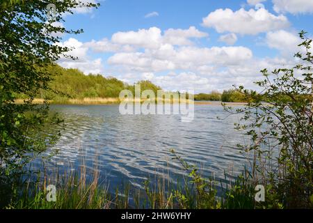 Spade Oak Nature Reserve, Bourne End, Buckinghamshire, England, UK ...
