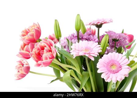 Composition with beautiful blooming Tulips and Barberton Daisy (Gerbera ...