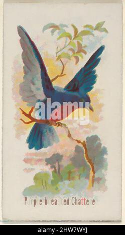 Art inspired by Purple-breasted Chatterer, from the Song Birds of the ...