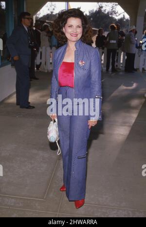 Debra Paget August 1987 Credit: Ralph Dominguez/MediaPunch Stock Photo ...