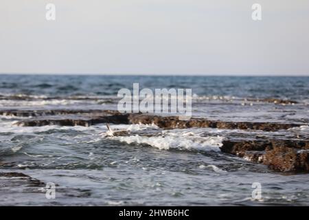 Landscape of rock and sea High quality Stock Photo - Alamy