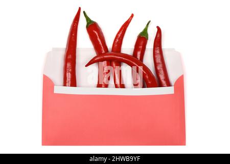 Red chili pepper in a mailing envelope isolated on a white background ...