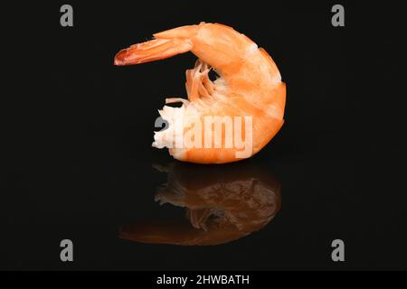 Shrimp isolated on acrylic black background. High resolution photo ...