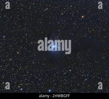 The Iris Nebula, NGC 7023, a reflection nebula in the constellation ...