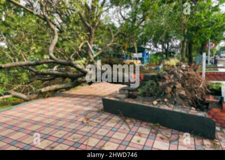 Blurred image of Super cyclone Amphan uprooted tree and the force broke ...