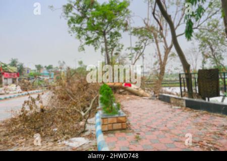 Blurred image of Super cyclone Amphan uprooted tree and the force broke ...