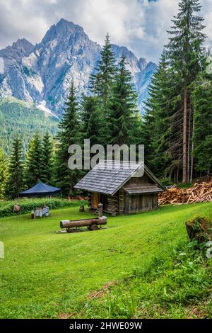 Sappada. Know the woods, the mountains and the villages. Dolomites ...