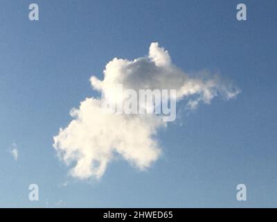 Chesil Beach. 5th March 2022. UK Weather. An Elephant-shaped cloud ...