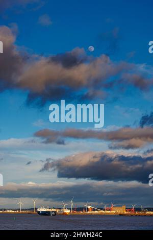 Coral Leader heading out to sea Stock Photo - Alamy