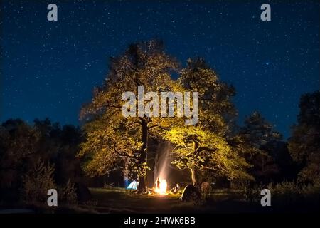 Burning campfire on a dark night in a forest Stock Photo - Alamy