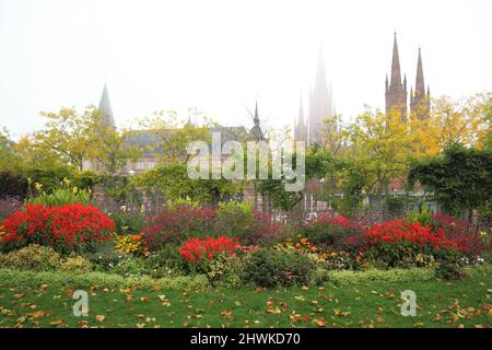 High fog at the Dern'sches Gelände with New Town Hall and Market Church ...